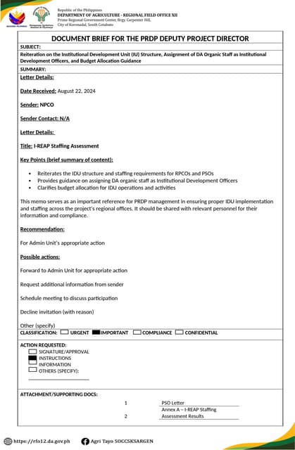 CS-ForActionTemplate-I-REAP Staffing Assessment.docx