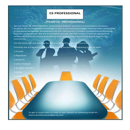 Cs professional | PDF