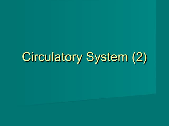 Pulmonary And Systemic Circulation Ppsx 8545