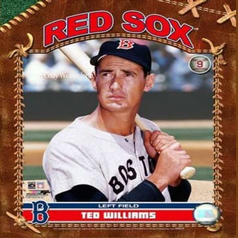 Cs102 power point ted williams | PPTX
