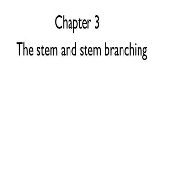 Modification of stem | PPTX