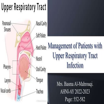 CS 17-18 Management of Upper Respiratory Tract Disorders (1).pptx