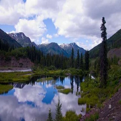 Biology - Chp 6 - Humans in the Biosphere - Study Guide | DOC