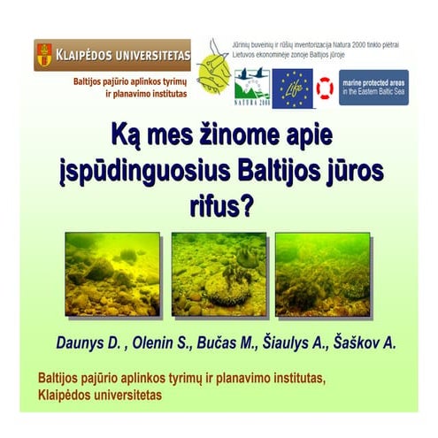 Drėgnieji atogrąžų miškai | PPT