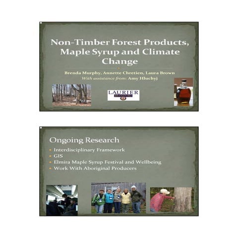 Cs8 p23 murphy non forest timber products | PDF