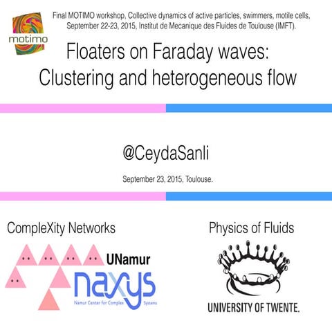 Floaters on Faraday waves for Final Motimo Meeting - Toulouse Sep. 22 ...