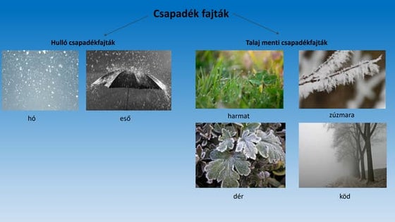 Csörgi szilvia 6.c éti csiga | PPTX