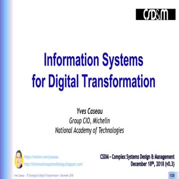 Information Systems for Digital Transformation | PDF