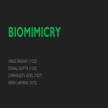 Biomimicry presentation | ODP
