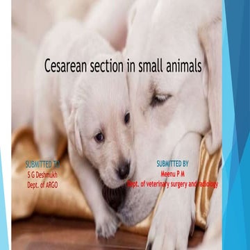 C SECTION IN SMALL AND LARGE ANIMALSpptx | PPTX