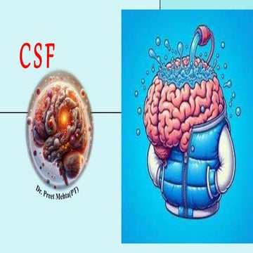 Abnormal CSF Diagnosis and Lumbar puncture | PPTX