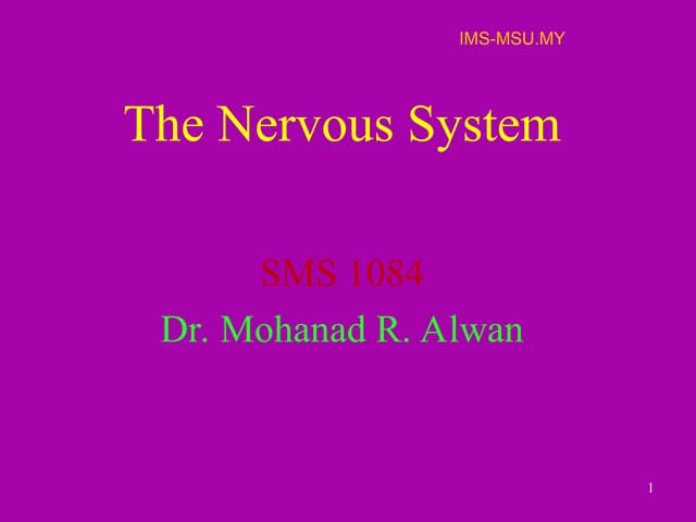Meninges And Csf Ppt