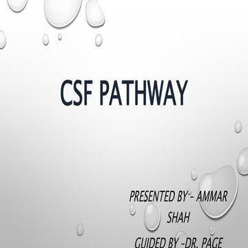 CSF-Pathway all aspect covered (anatomical and physiological) | PPT
