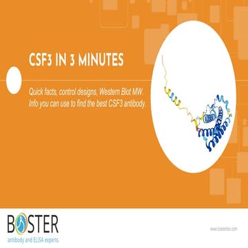 Learn CSF3/G-CSF in 3 minutes | Granulocyte colony-stimulating factor ...