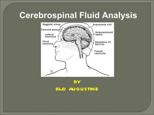 Cerebrospinal fluid (CSF) and interpreting lumbar puncture | PPTX