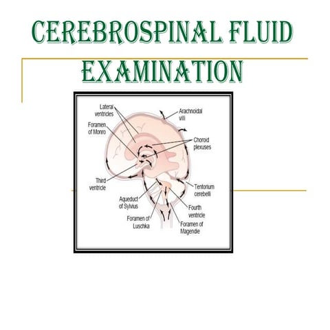 Cerebrospinal fluid examination VCP .pdf