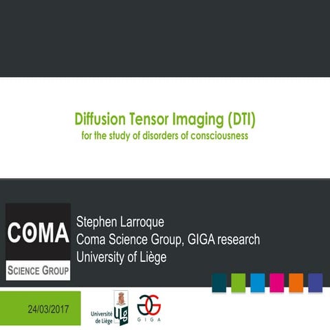 Diffusion Tensor Imaging (DTI) for the study of disorders of consciousness | PDF | Brain and ...