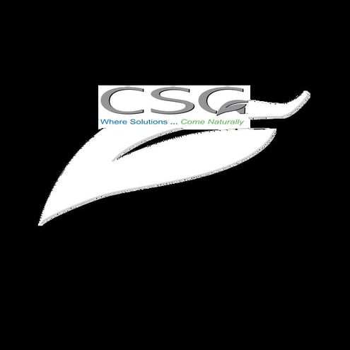 Csg Overview Package 10.09(1) | PDF