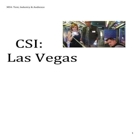 CSI booklet | PDF