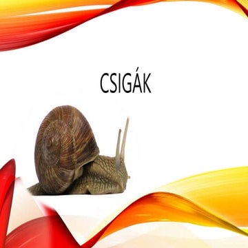 A csigák táplálkozása, felépítése, előfordulása | PPTX