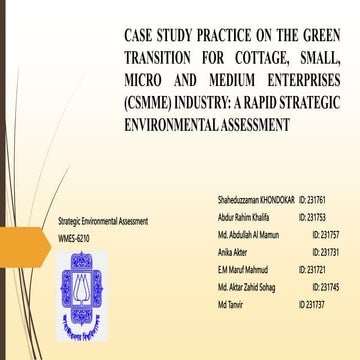A RAPID STRATEGIC ENVIRONMENTAL ASSESSMENT | PPTX