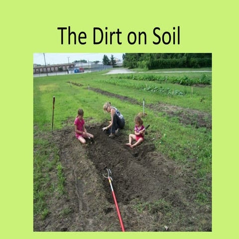 The Dirt On Soil | PPT