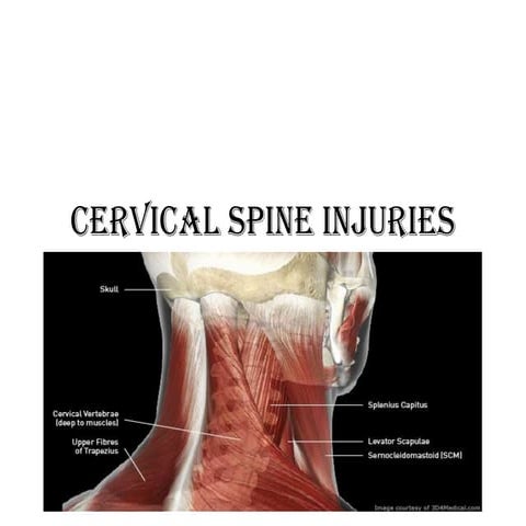 Cervical Fractures and Cervical spine injuries - Dr.KK