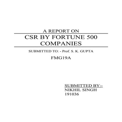 Csr fortune 500 report | PDF