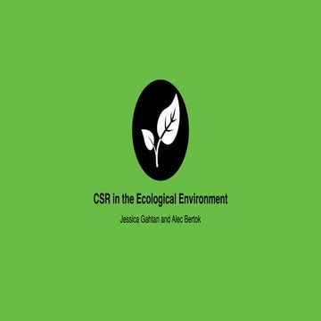 CSR in the Ecological Environment | PDF
