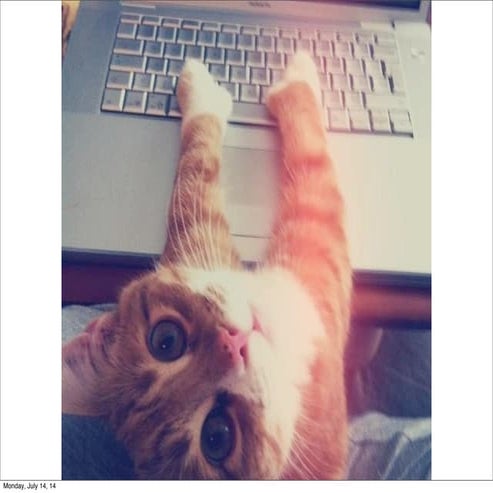 Lesson 2- Css1 | PDF | Web Design and HTML | Internet