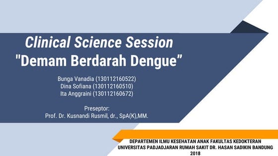 MATERI PENYULUHAN DEMAM BERDARAH | PPT