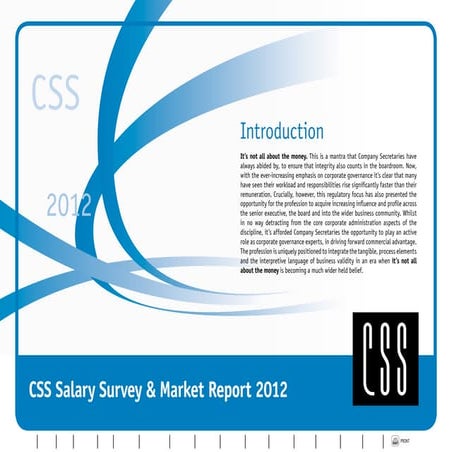 CSS Salary Survey & Market Report 2012 | PPT