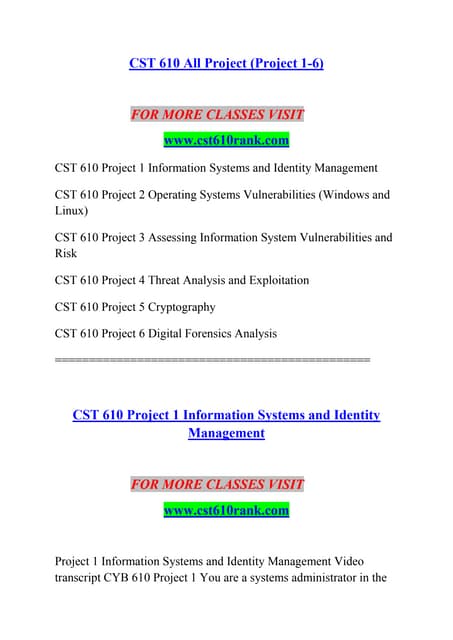 CV Resume of Dave Sweigert - Cyber Security Expert | PDF