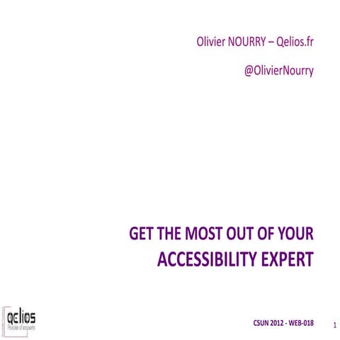 Get the most out of your accessibility expert | PPT