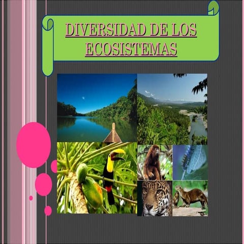 Diversidad de los Ecosistemas | PPT