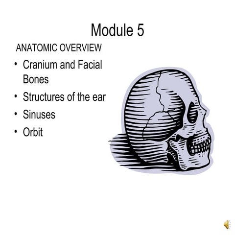 Cta 201 module 5 cranium bones and facial bones (1) | PPT