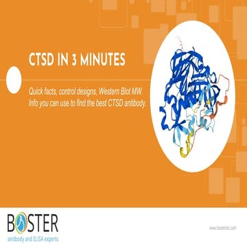 Learn CTSD in 3 minutes | Cathepsin D | PPT
