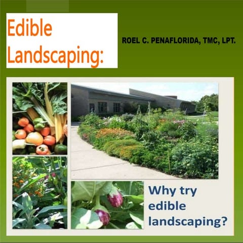 EDIBLE_LANDSCAPING_FOOD_SCAPE.pptx