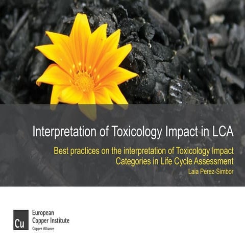 Best practices on the interpretation of Toxicology Impact Categories in ...