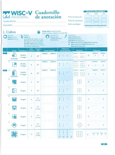 Protocolo wisc iv | PDF