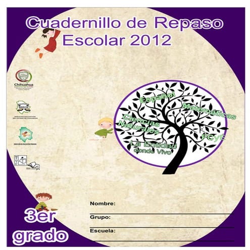 Cuadernillo de repaso escolar 3 er grado | PDF