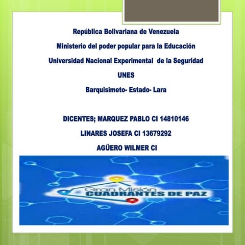 LINEAS DE INVESTIGACION UNES .pdf
