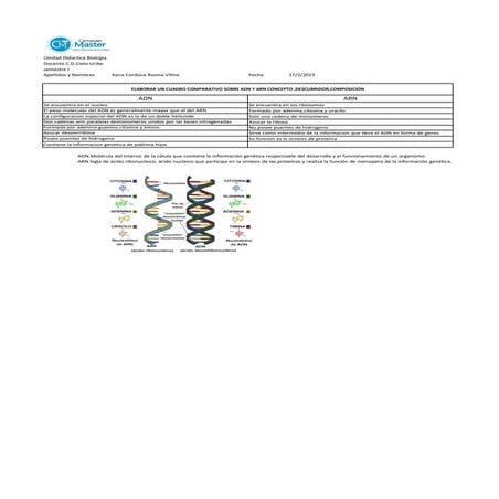 Diferencias Entre Adn Y Arn Cuadro Comparativo Notas