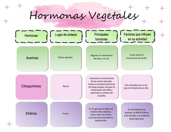 TEMA 21 - HORMONAS VEGETALES - 2º SECUNDARIA.pptx