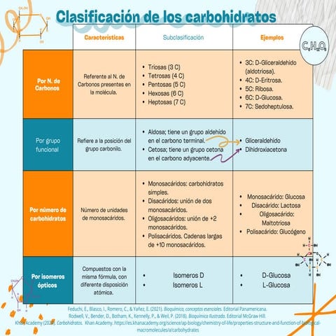 Cuadro Clasificación De Los Carbohidratos Pdf