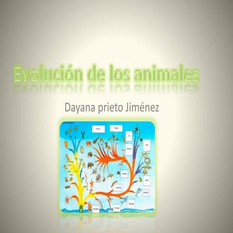 evolución de animales | PPTX
