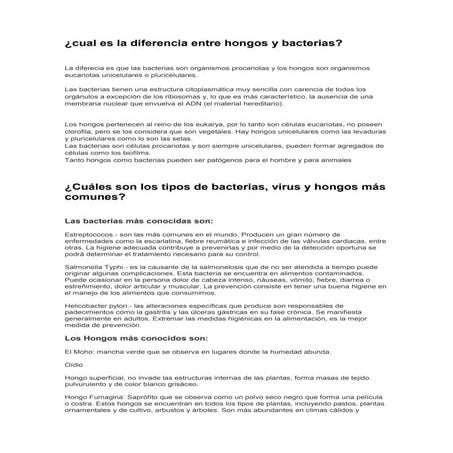 Cual es la diferencia entre hongos y bacterias | DOCX