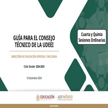 Marco técnico operativo UDEEI 16.agosto.24 vf.pdf