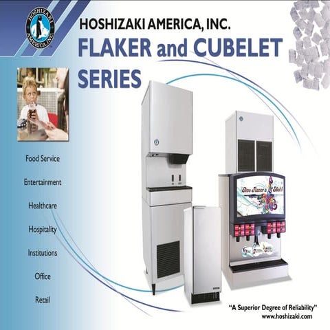 Cubelet flaker 2010 ppt | PDF