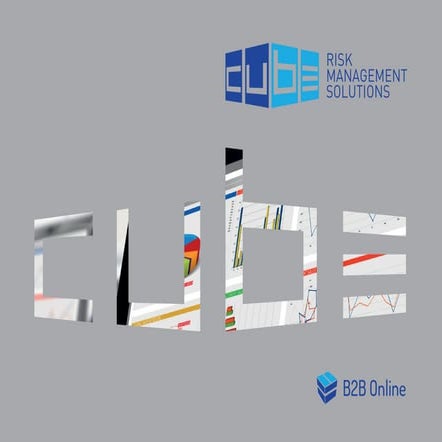 CUBE Risk Management Solutions | PPT